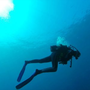 Experienced Diver Program - Whale Shark Adventures & Marine Tours Diani ...